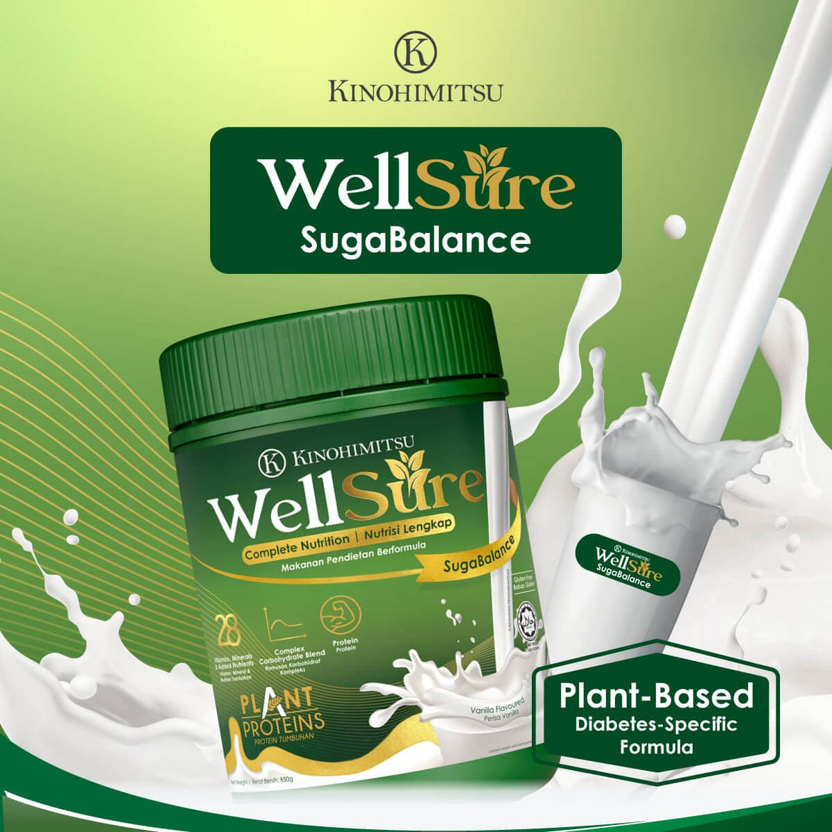 WellSure SugaBalance 850g (Diabetics formula)(Plant Based Complete Nut ...